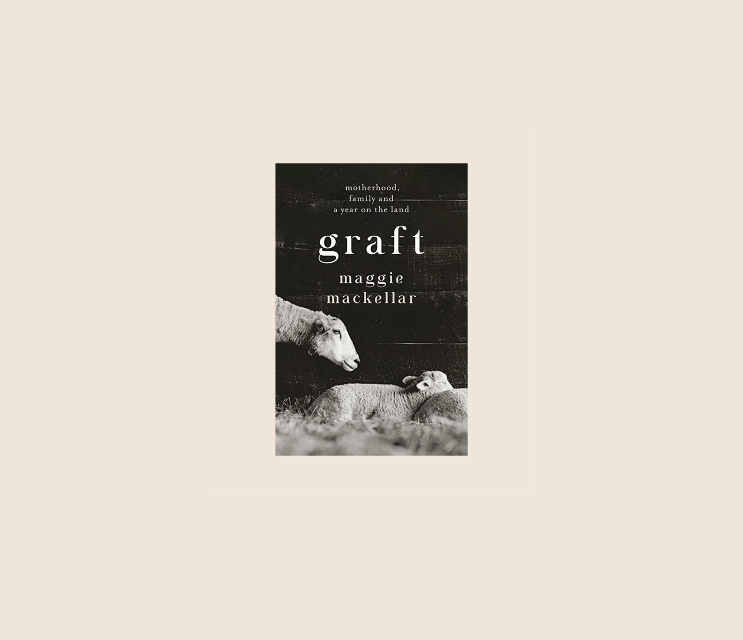 Book of the month – Graft – October 2024 – Stella
